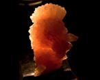 Olmiite